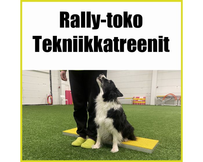 Rally-toko | Tekniikkatreenit